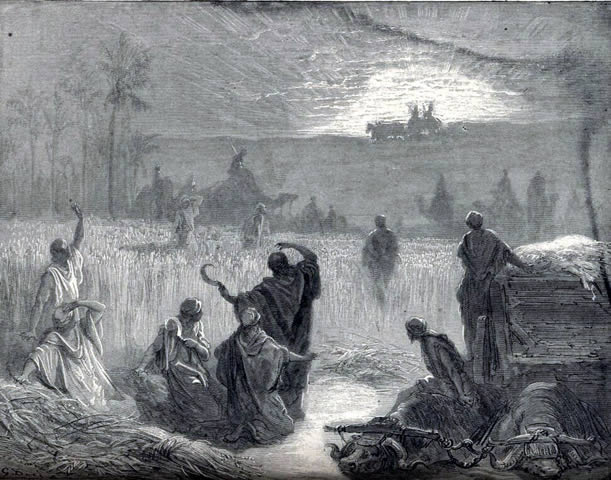 The Return of the Ark - byGosh.com